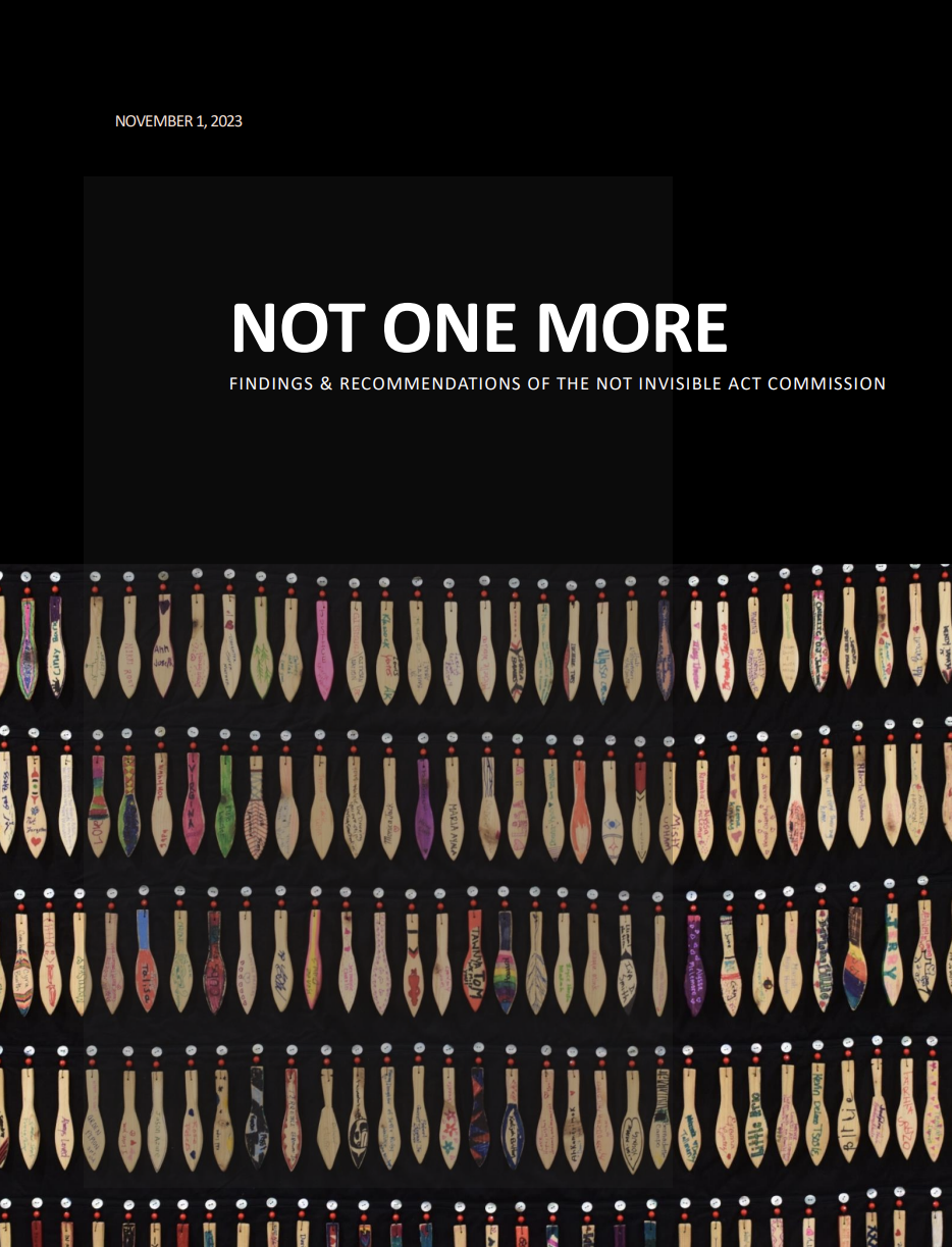 The Not Invisible Act Commission | NIWRC